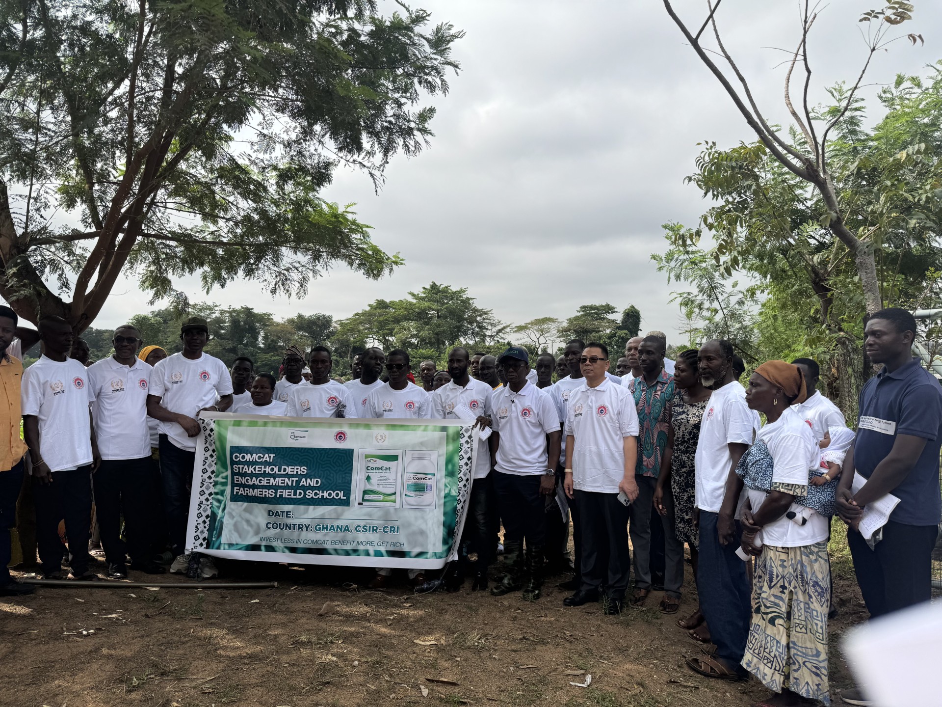 CSIR-CRI tests effects of ComCat bio-stimulants on crops | Ghana News ...