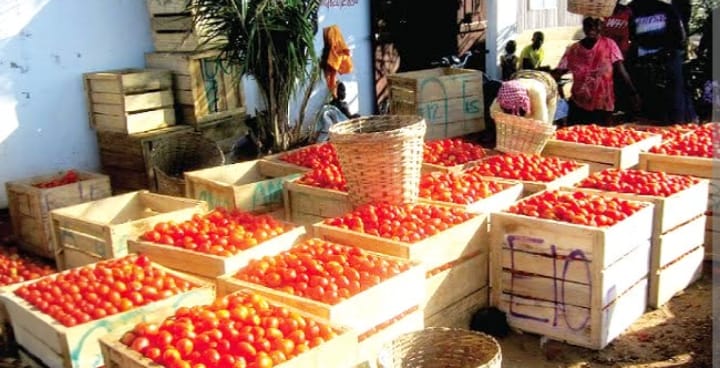 Tomato import ban by Burkina Faso a blessing in disguise – PFAG | Ghana ...