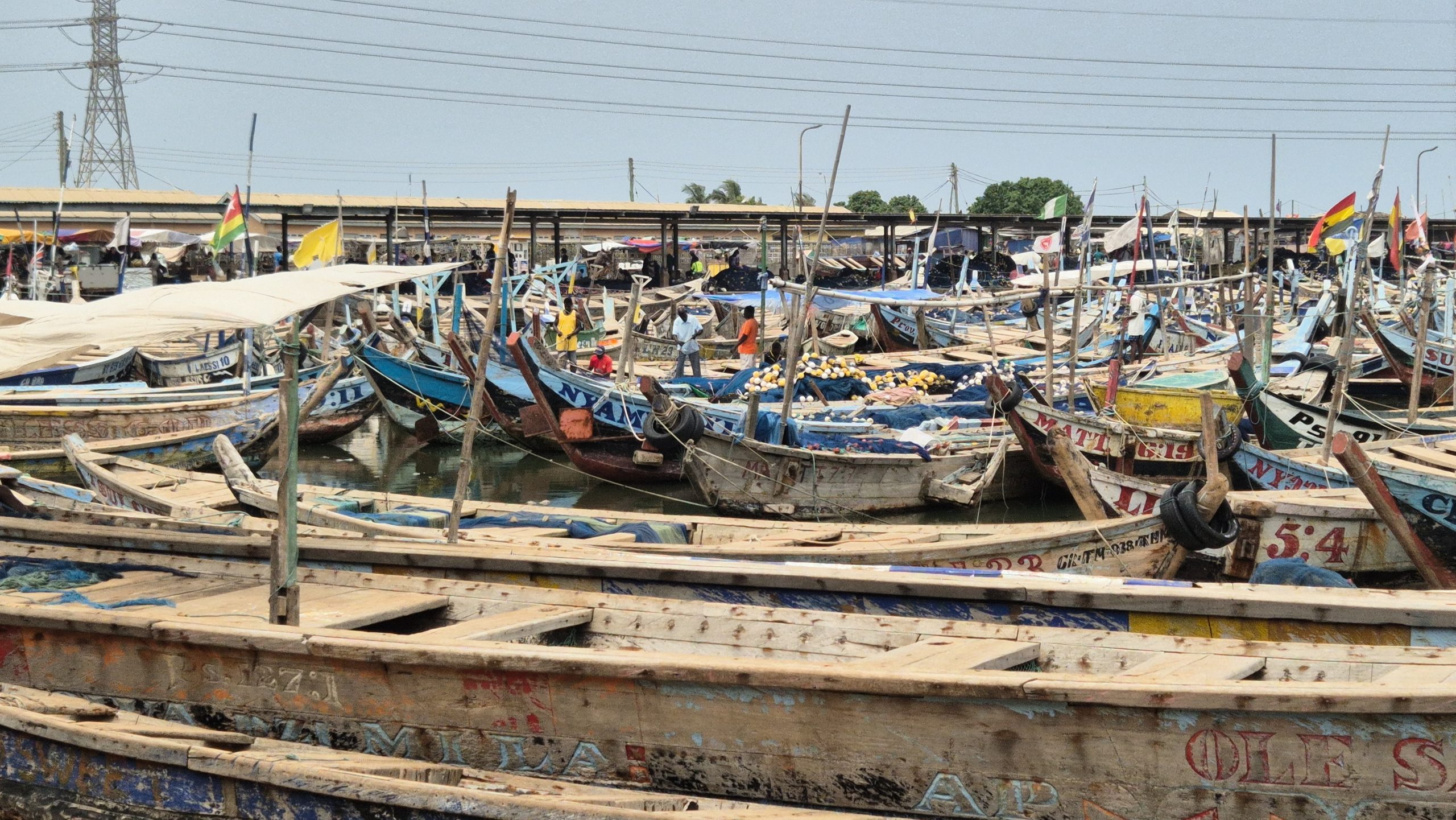 Indigenous fishing practices offer lessons for sustainable fisheries ...