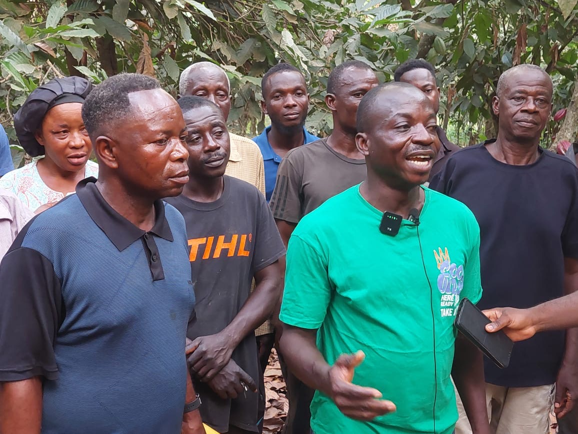 Dormaa Central cocoa farmers justify new producer price, demand ...