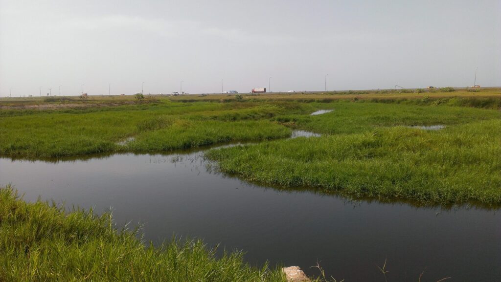 Sakumo, Chemu lagoons: the natural spiritual protection for Tema people ...