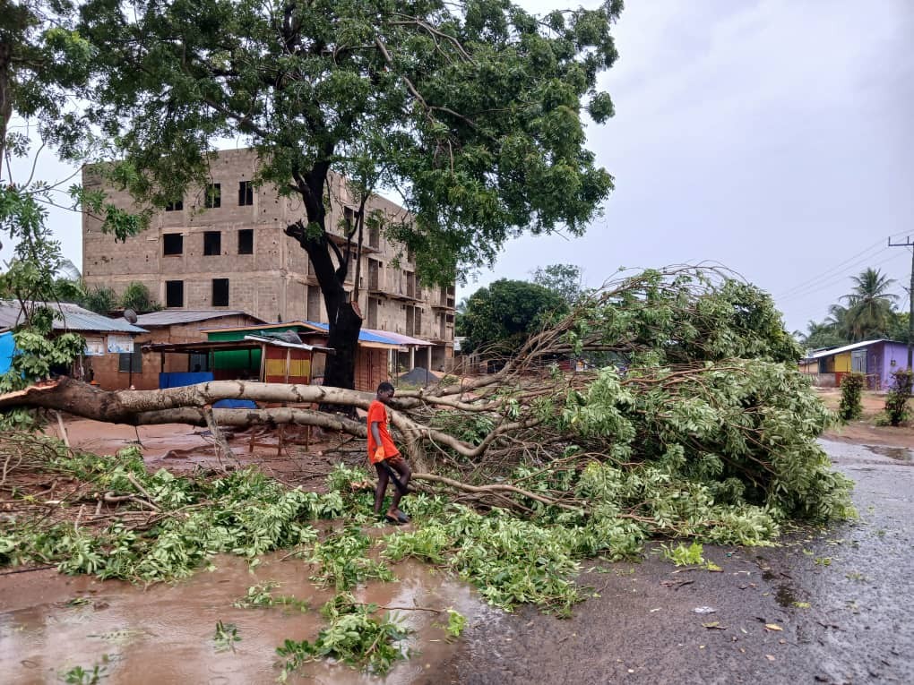 Ada East Assembly resolves tree dispute | Ghana News Agency