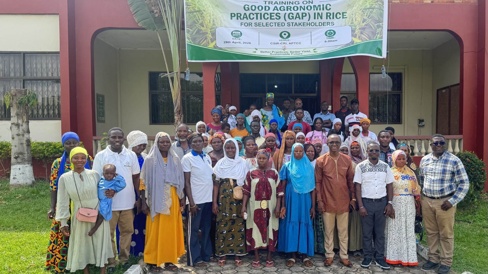 CSIR-CRI trains rice farmers, value chain actors on good agronomic ...