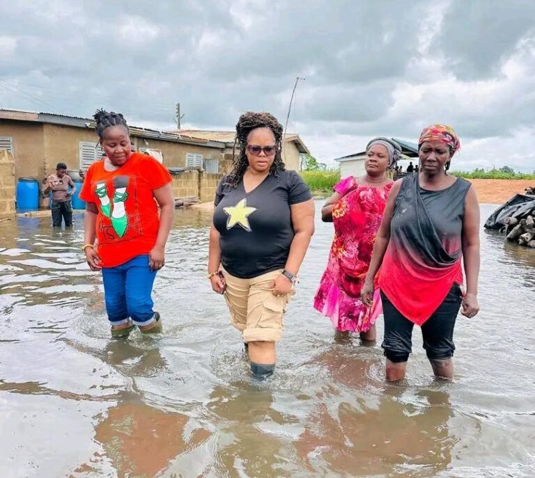 Anloga DCE visits flood-hit communities, promises Assembly support for ...