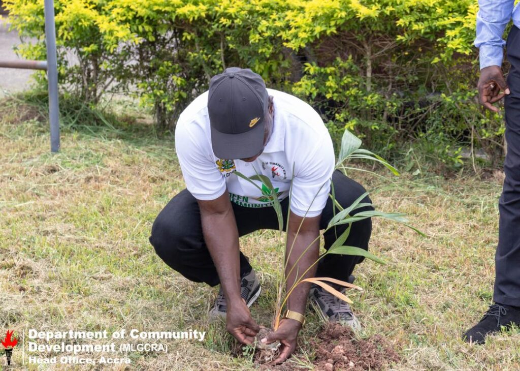 Western Region to plant 1000 trees in 2026 as green Community ...